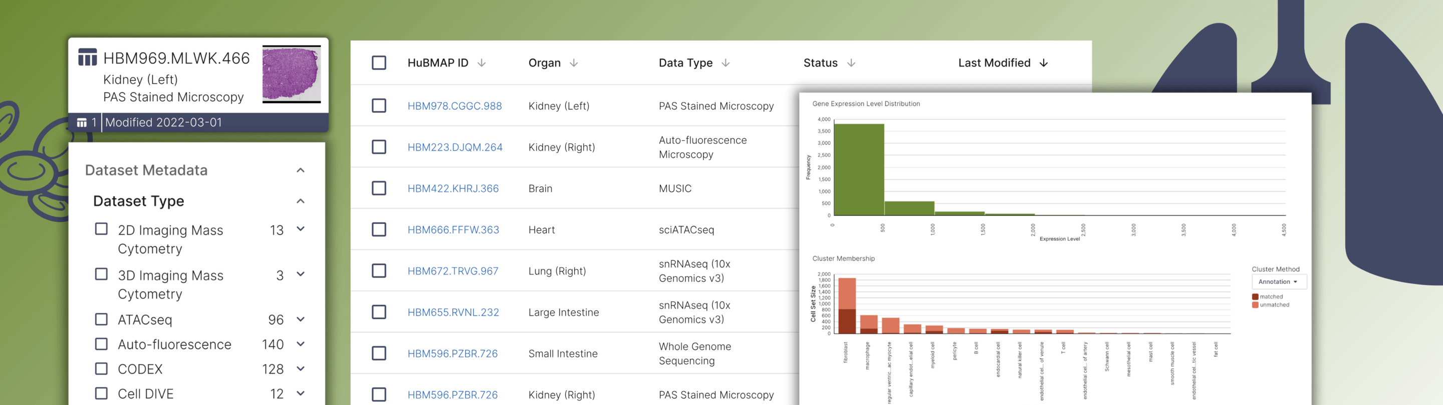 Human BioMolecular Atlas Program Data Portal | Human Tissue Atlas for ...