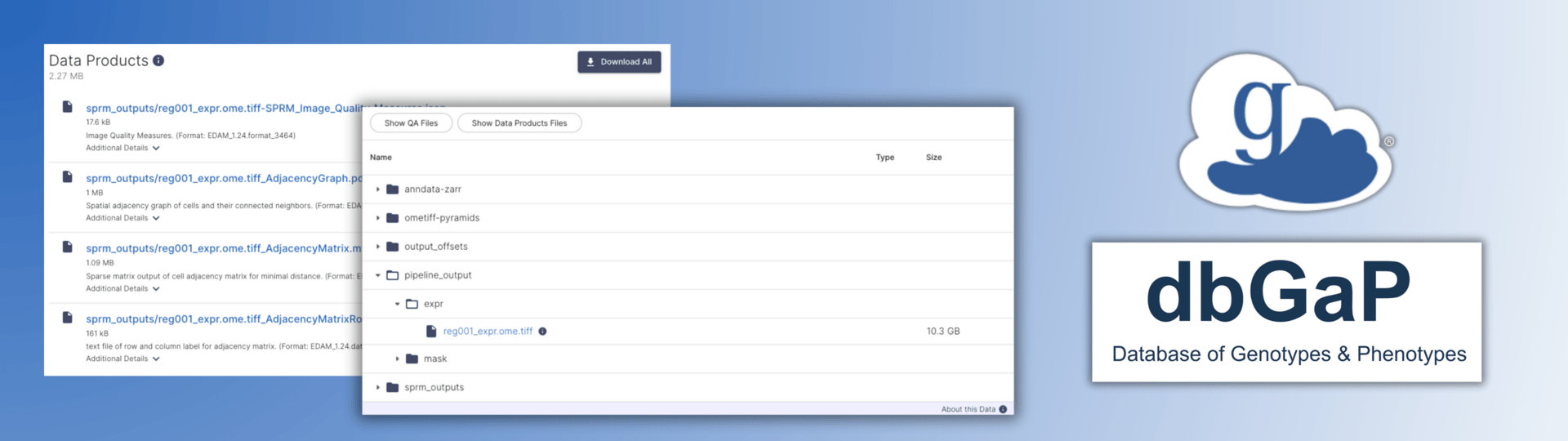 Human BioMolecular Atlas Program Data Portal | Human Tissue Atlas for ...