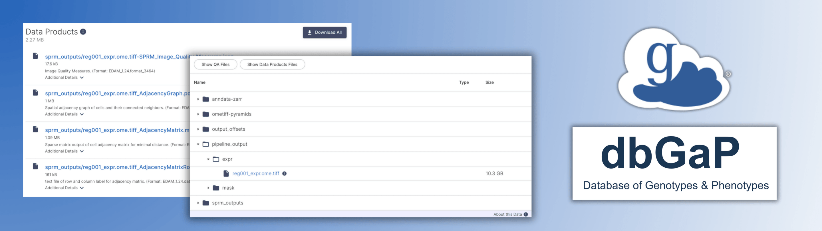 Human BioMolecular Atlas Program Data Portal | Human Tissue Atlas for ...
